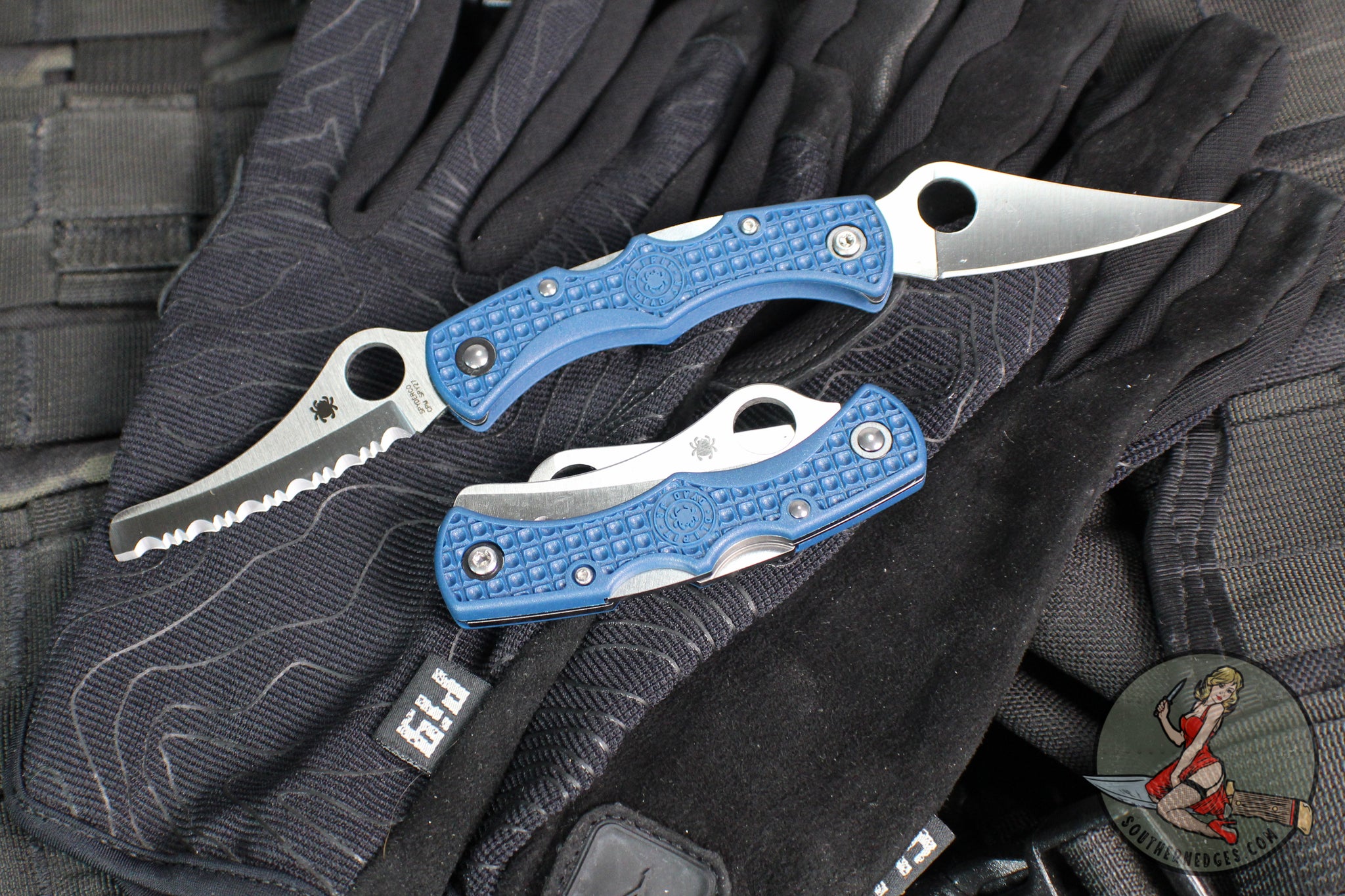 Spyderco Dyad Jr- Double Bladed Compression Lock Folder- Cobalt Blue F ...